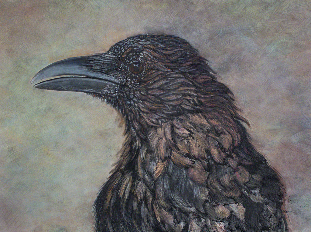 Crow - Megan Morgan Fine Artist