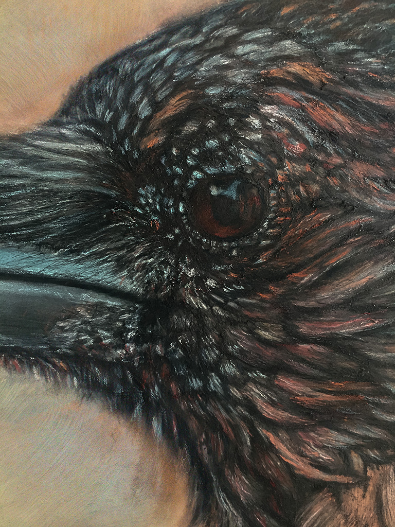 Crow - Megan Morgan Fine Artist